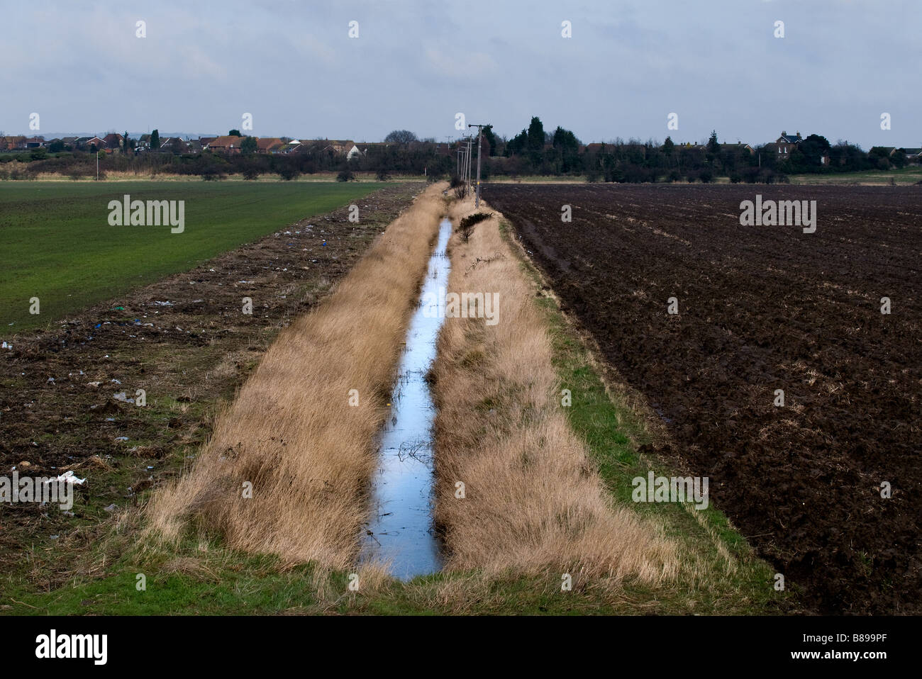 A water filled drainage ditch on a farm in Essex Stock Photo - Alamy