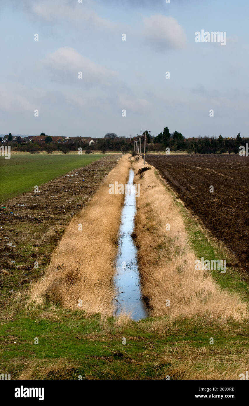 A water filled drainage ditch on farmland in Essex Stock Photo - Alamy