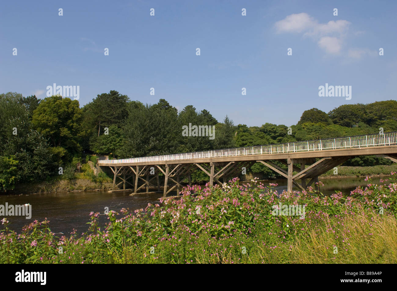 River Ribble at Avenham Park Preston Lancashire United Kingdom Stock ...