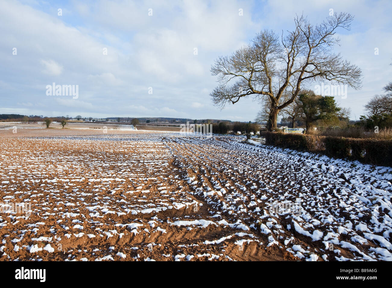 A light covering of Snow over Norfolk countryside, Great Britain Stock ...