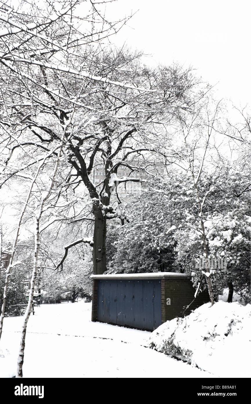 Mature snow covered Beech tree and lock- ups on an Islington estate ...