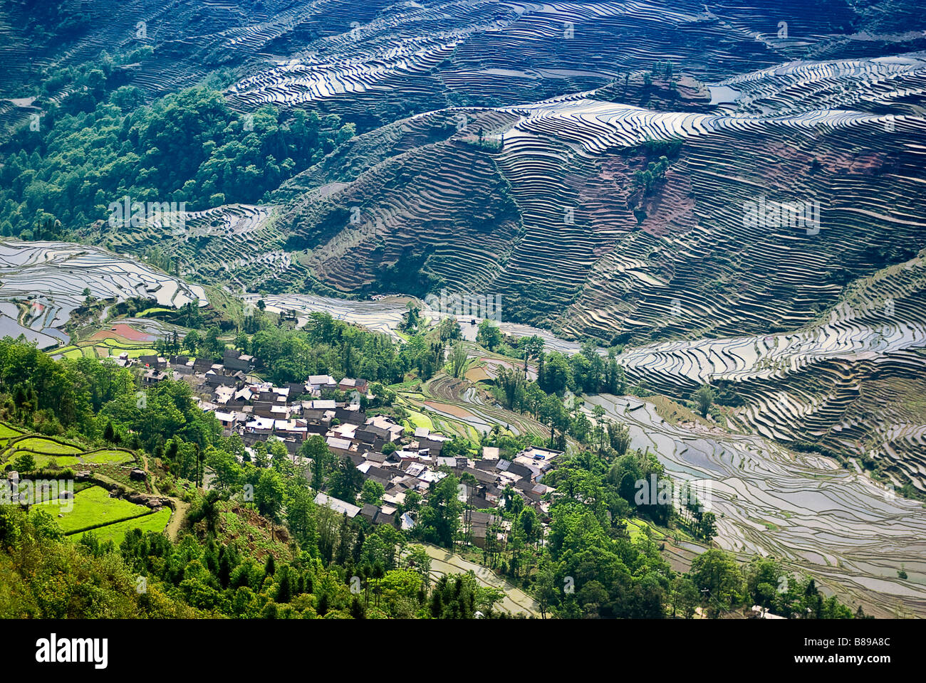 Asia, China, Yunnan Province, Yuanyang County. Village and flooded Duo ...