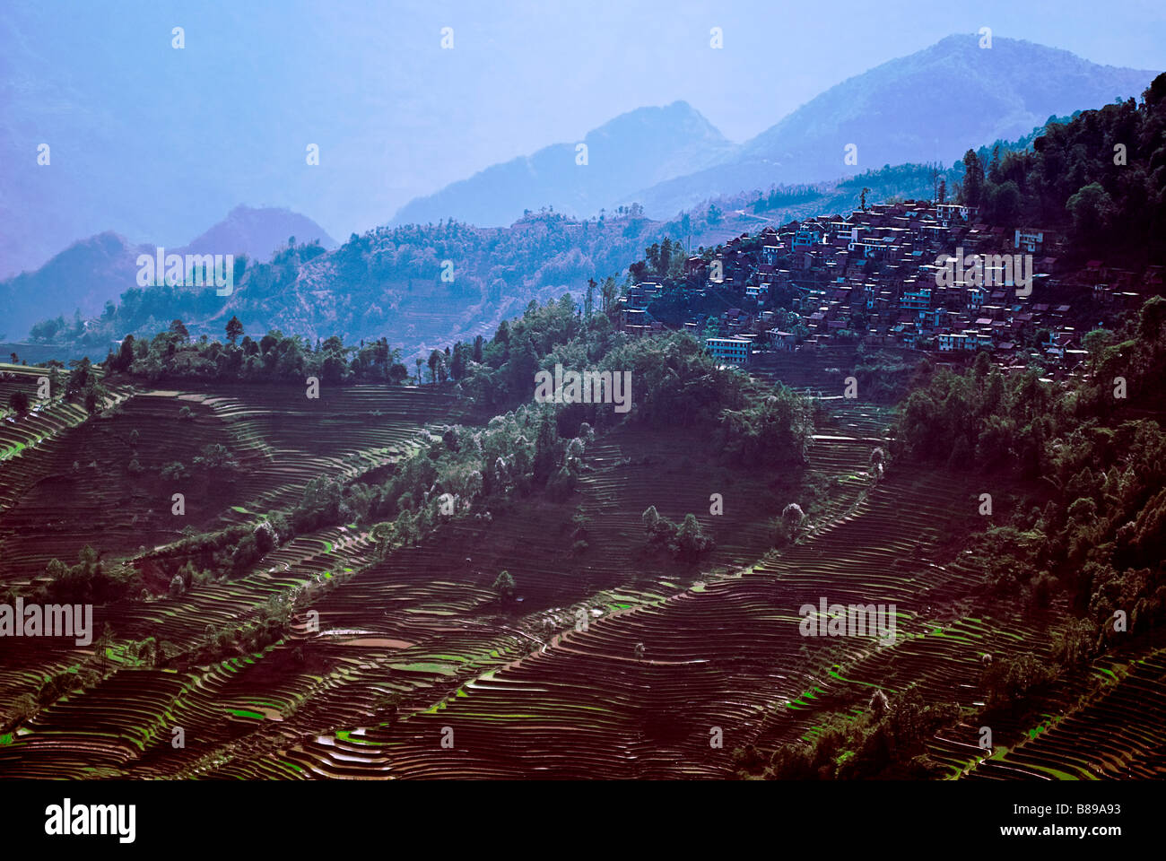 Laohu zui hi-res stock photography and images - Alamy