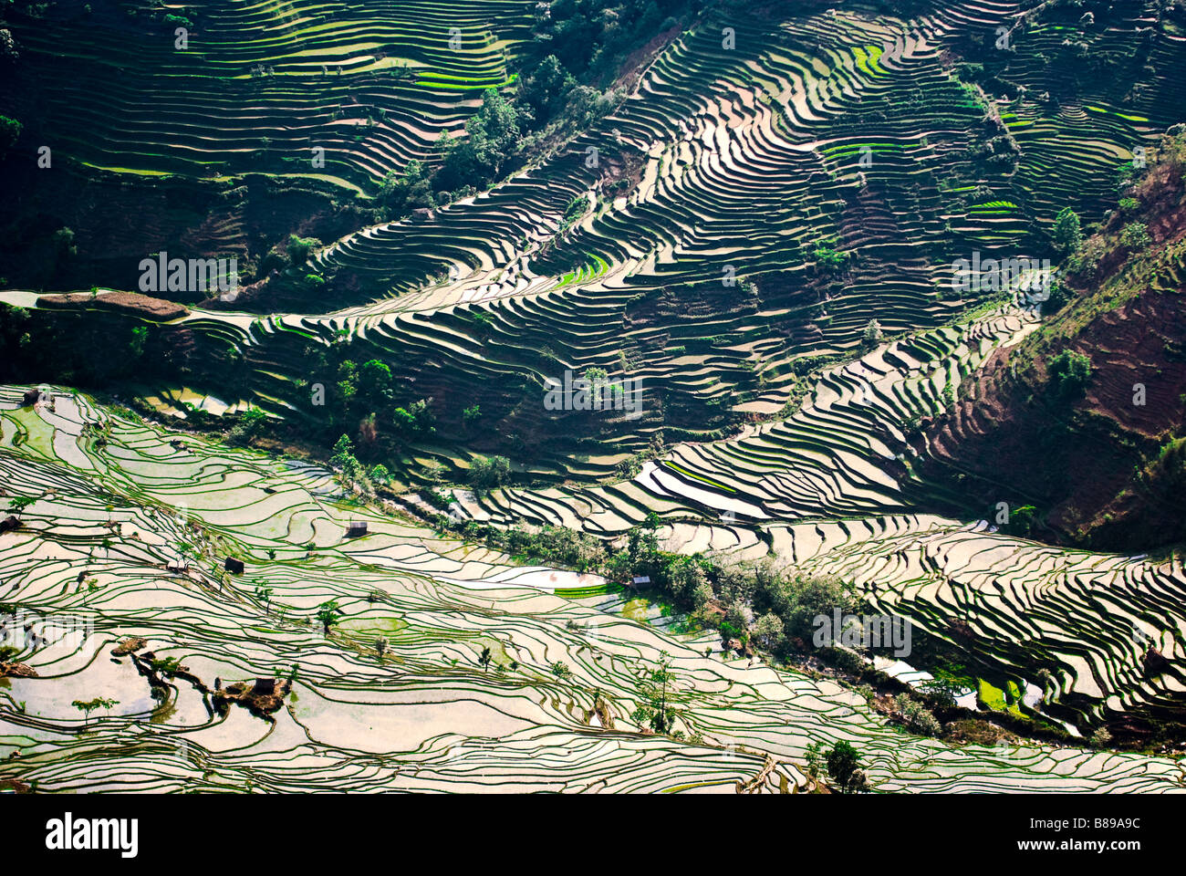 Asia, China, Yunnan Province, Yuanyang County. Flooded Laohu Zui ...