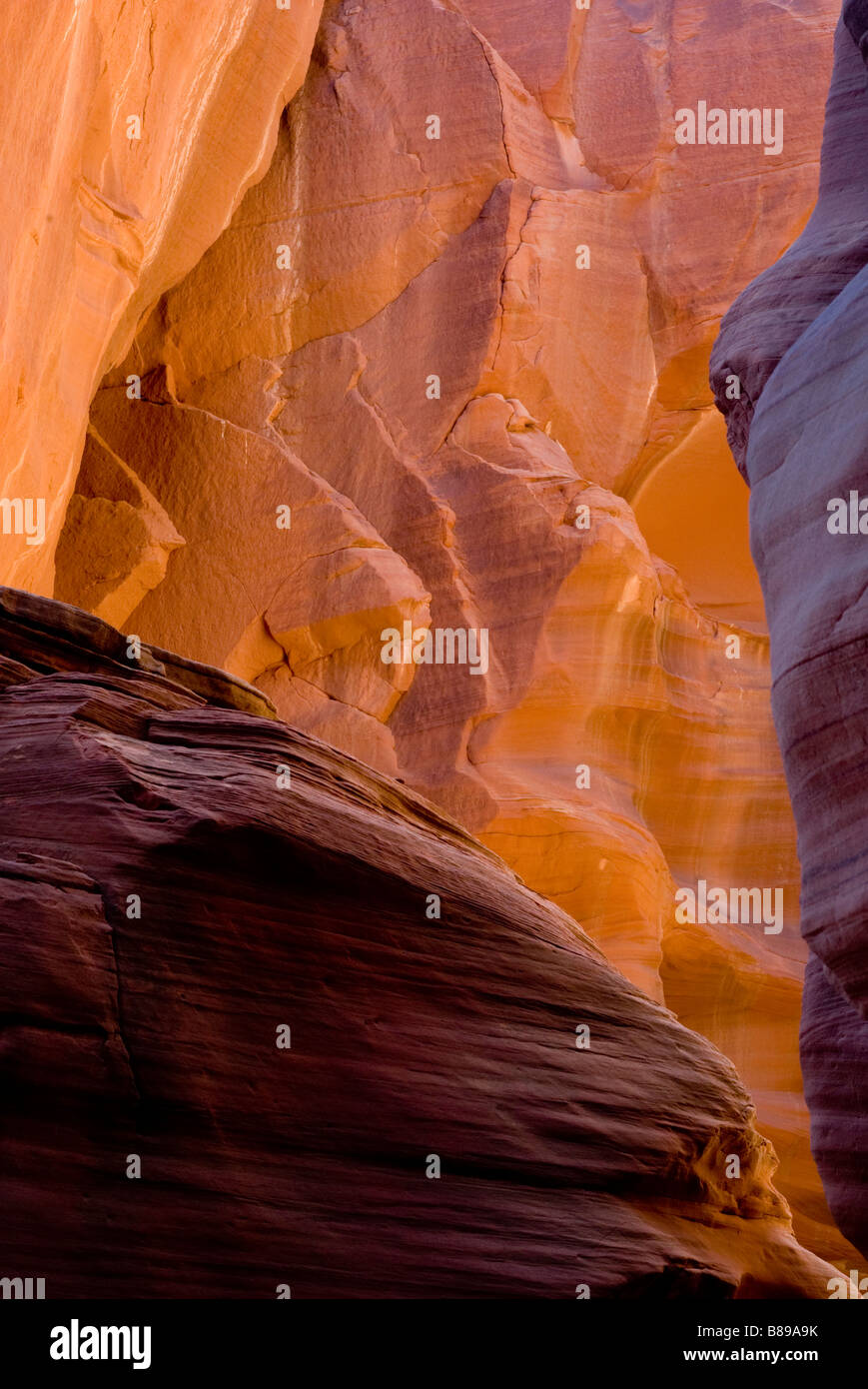 USA, Arizona, Navajo Tribal Lands. Reflected sunlight creates amber ...