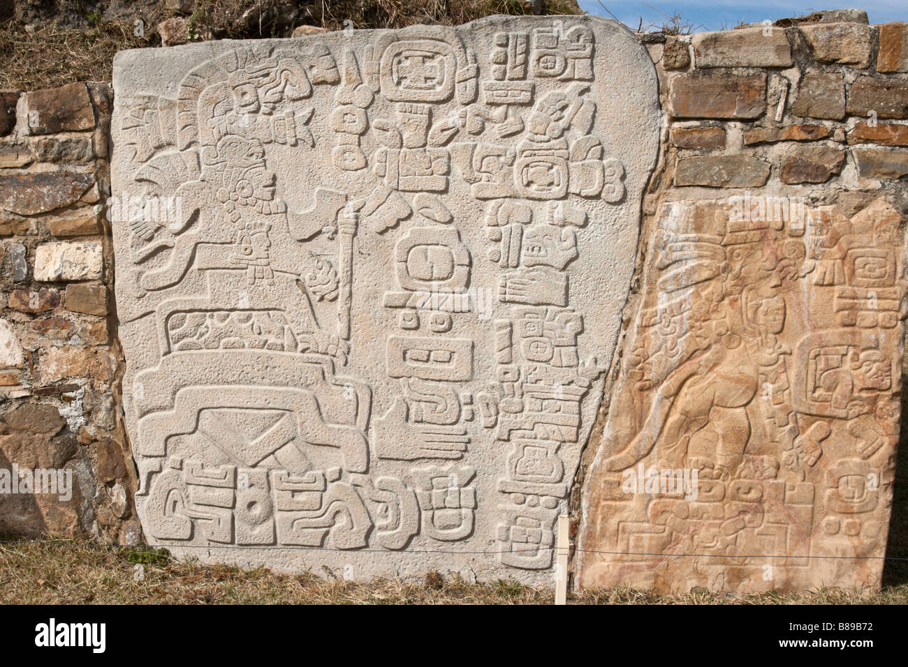 Ancient zapotec relief with hieroglyphs on the wall in Monte Alban ...