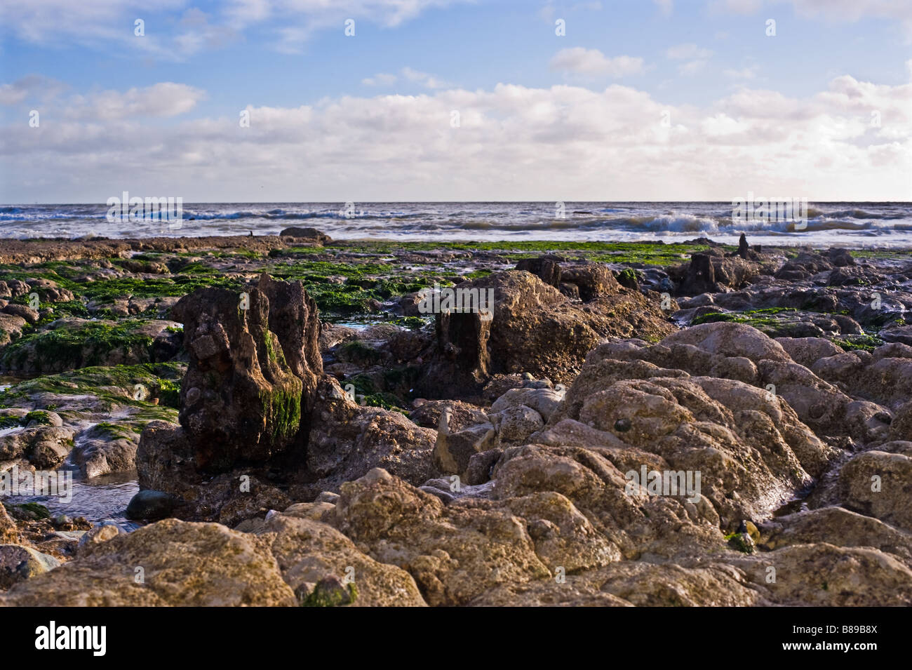 Groyne into sea hi-res stock photography and images - Alamy