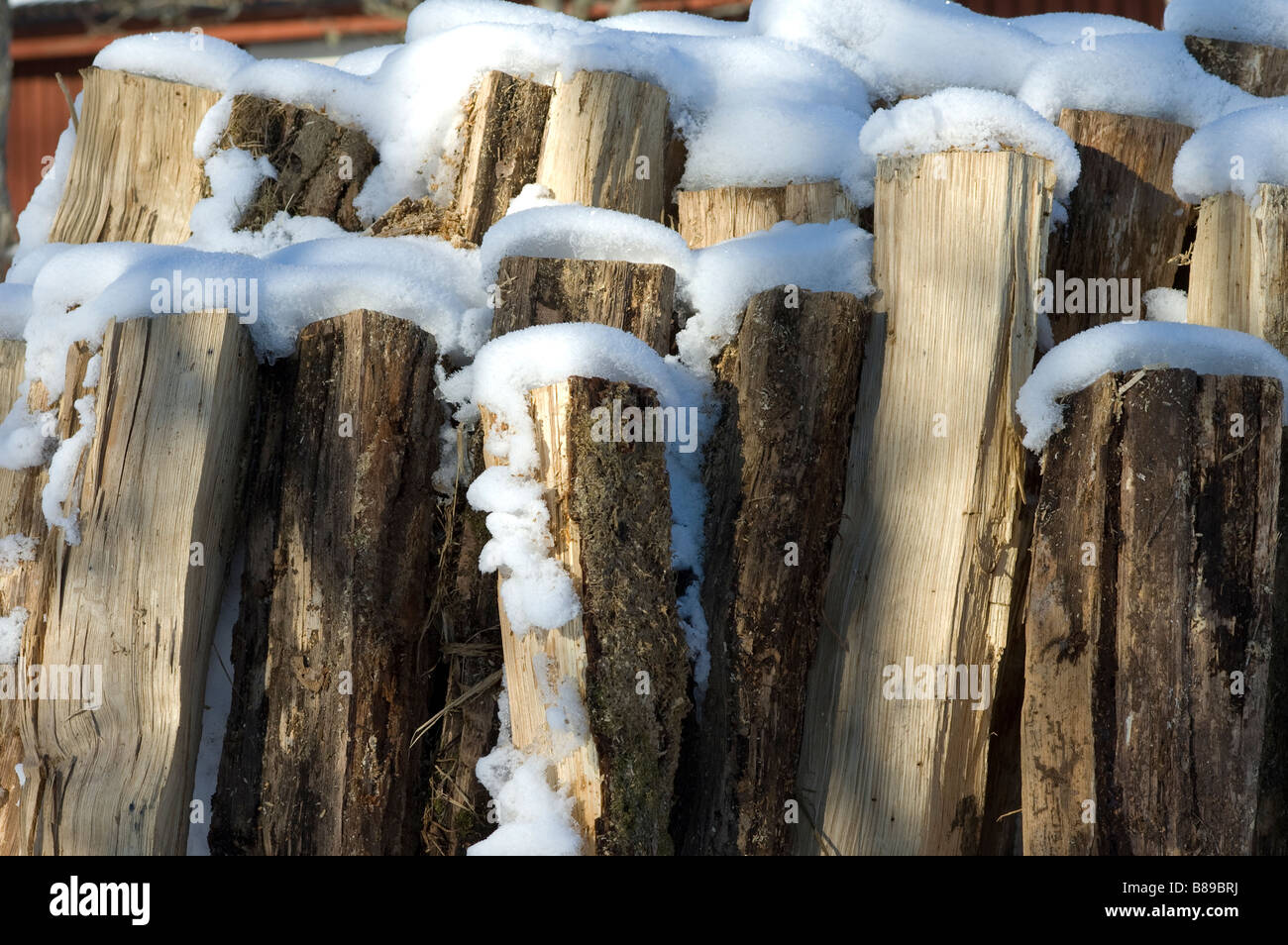 A standing pile of oak fence poles covered by snow Stock Photo - Alamy