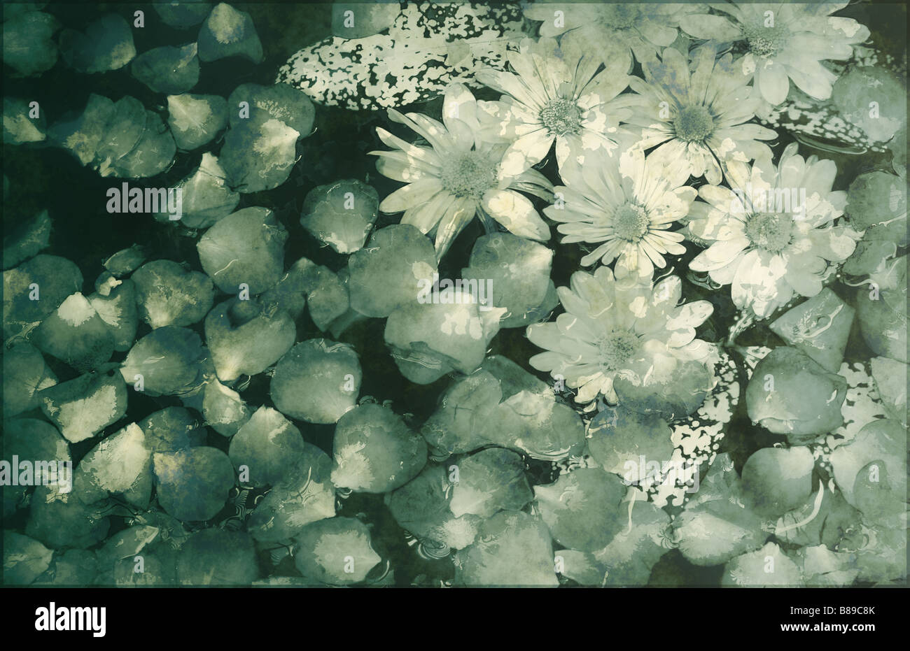 Soothing Zen Abstract as a Nature Background Stock Photo - Alamy