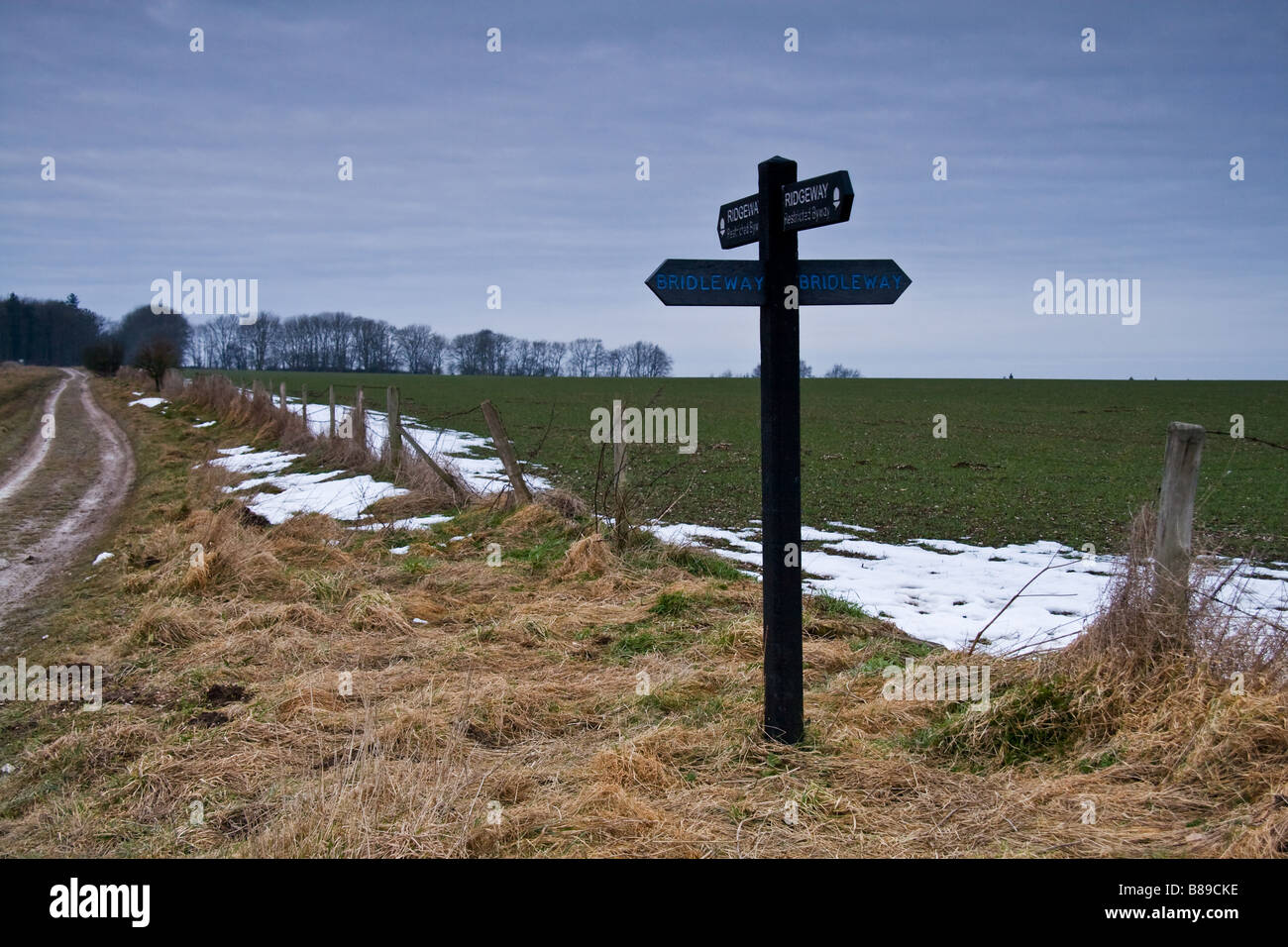 A four way sign post on the downs. The ridgeway being an old iron age ...