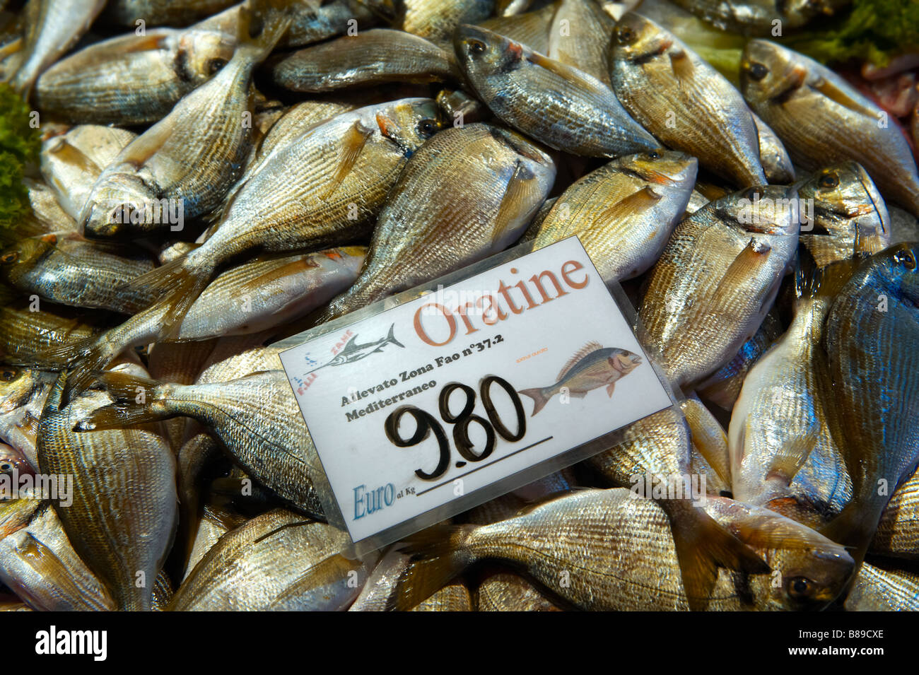 Fresh oratine Venice Rialto Fish Market Stock Photo - Alamy