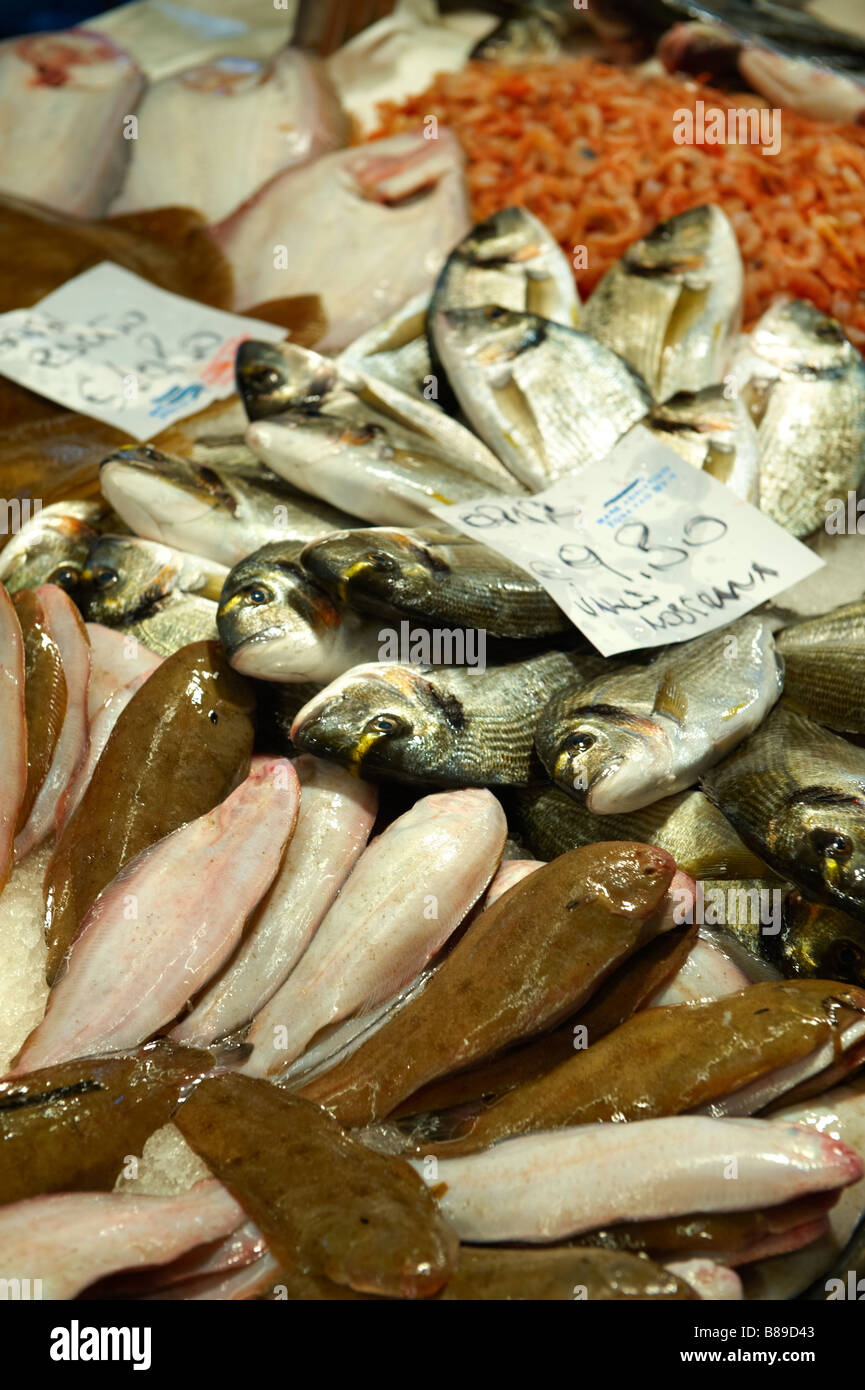 Fresh sole - Venice Rialto Fish Market Stock Photo - Alamy