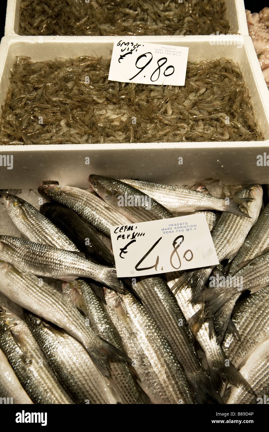 Fresh Volpine - Venice Rialto Fish Market Stock Photo - Alamy
