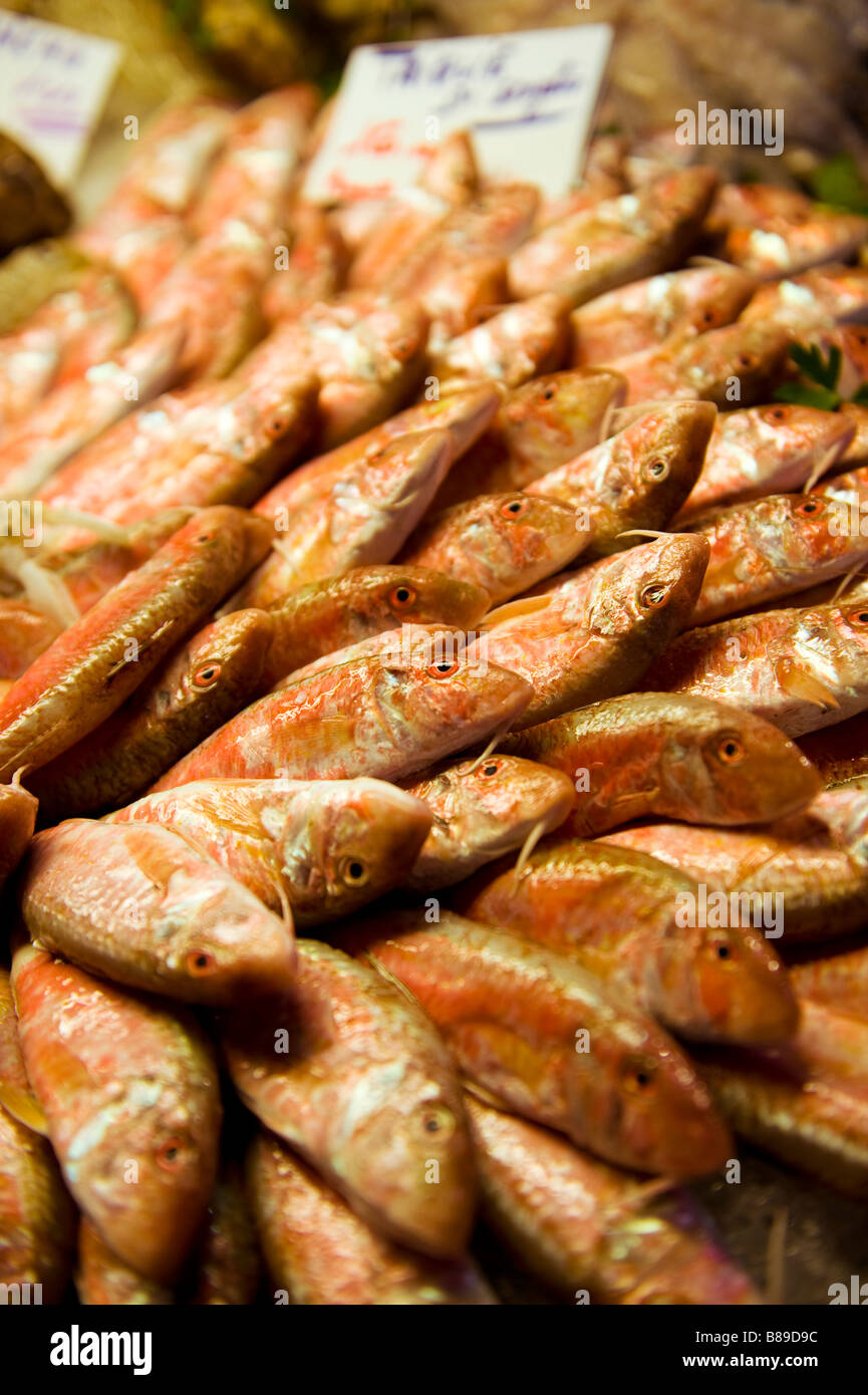 Fresh Red Mullet - Venice Rialto Fish Market Stock Photo - Alamy
