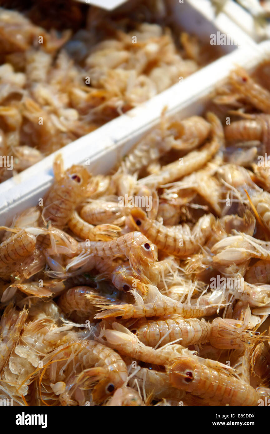 Prawns - Venice Rialto Fish Market Stock Photo - Alamy