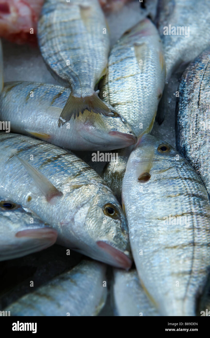 Mormore hi-res stock photography and images - Alamy