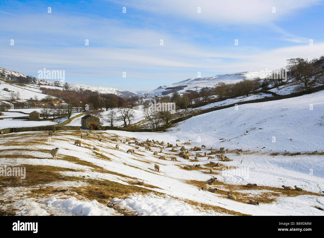 Swaledale winter hi-res stock photography and images - Alamy