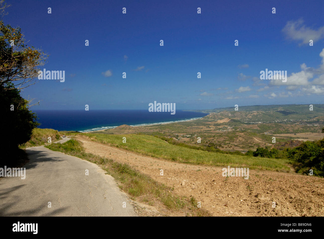 Barbados road hi-res stock photography and images - Alamy