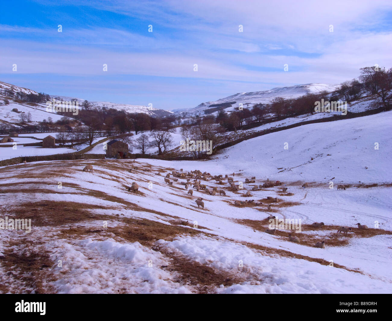 Swaledale winter hi-res stock photography and images - Alamy