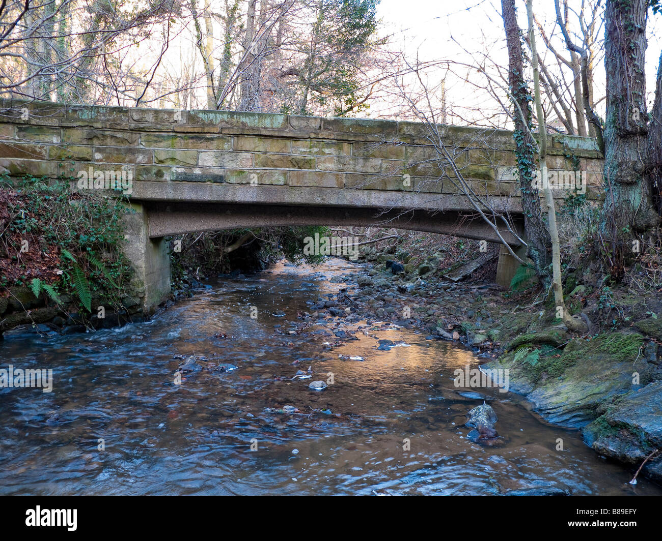 Clear stream flowing under bridge surrounded by woodland Stock Photo ...