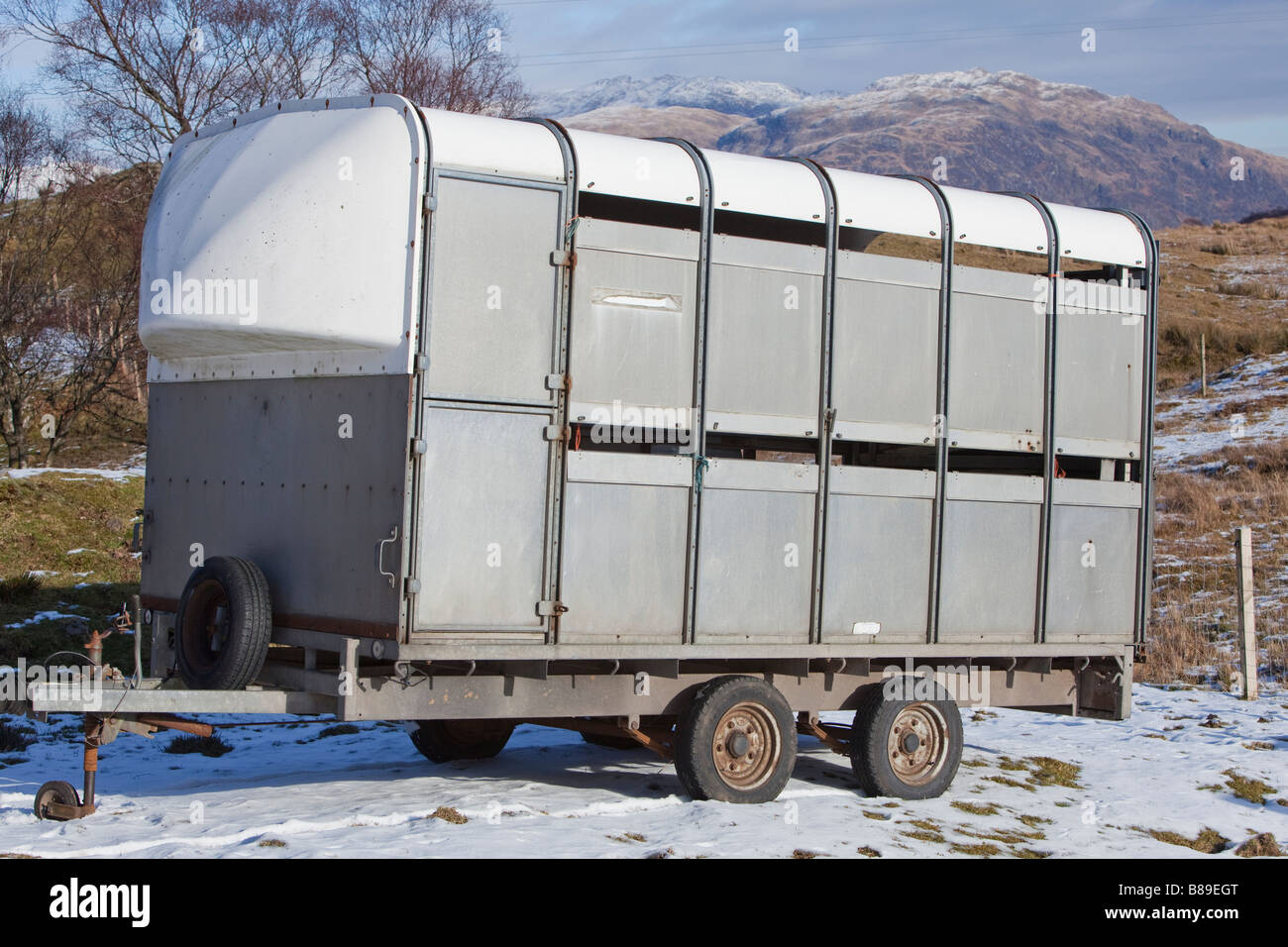 Horse box hi-res stock photography and images - Alamy