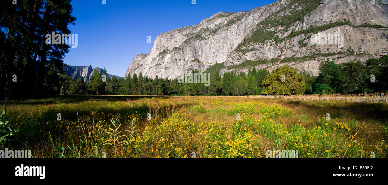 Yosemite valley panoramic hi-res stock photography and images - Alamy