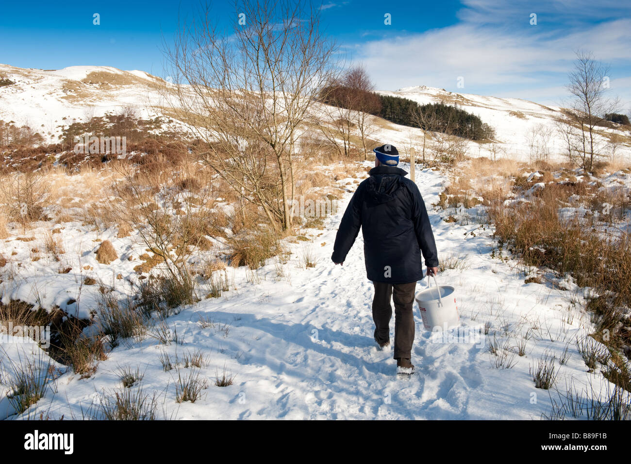 Red kite in snowy hi-res stock photography and images - Alamy