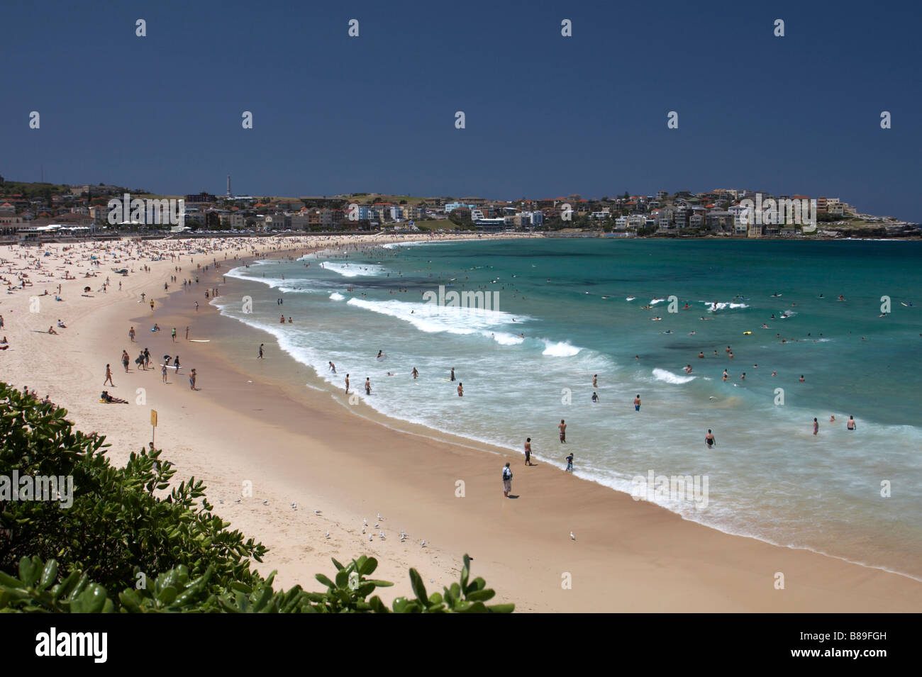 Bondi beach in the summer, Sydney Stock Photo - Alamy