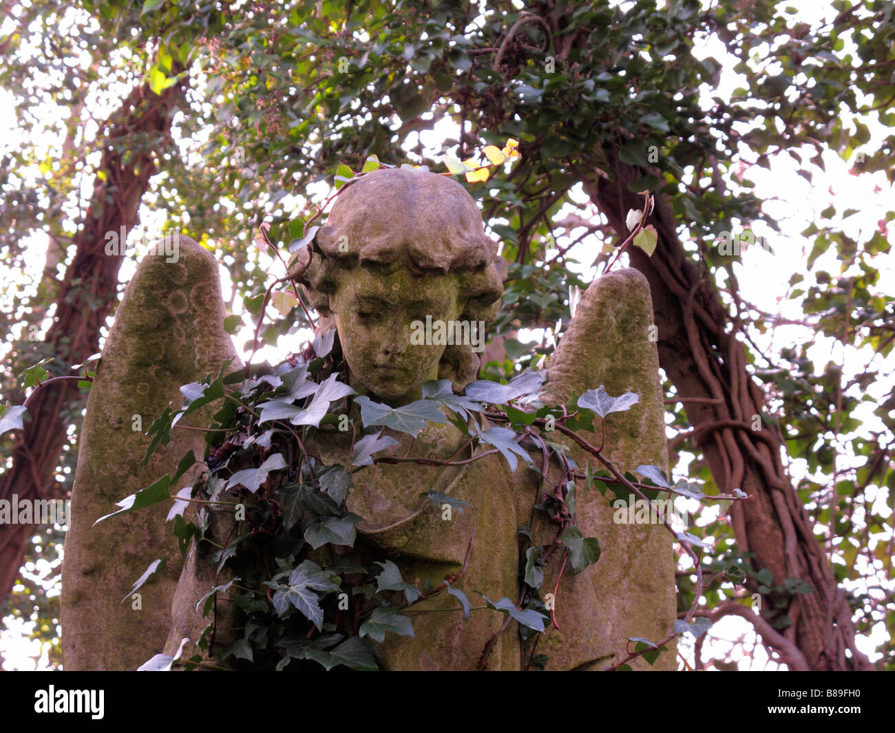 Stone angel in Highgate cemetery Stock Photo - Alamy