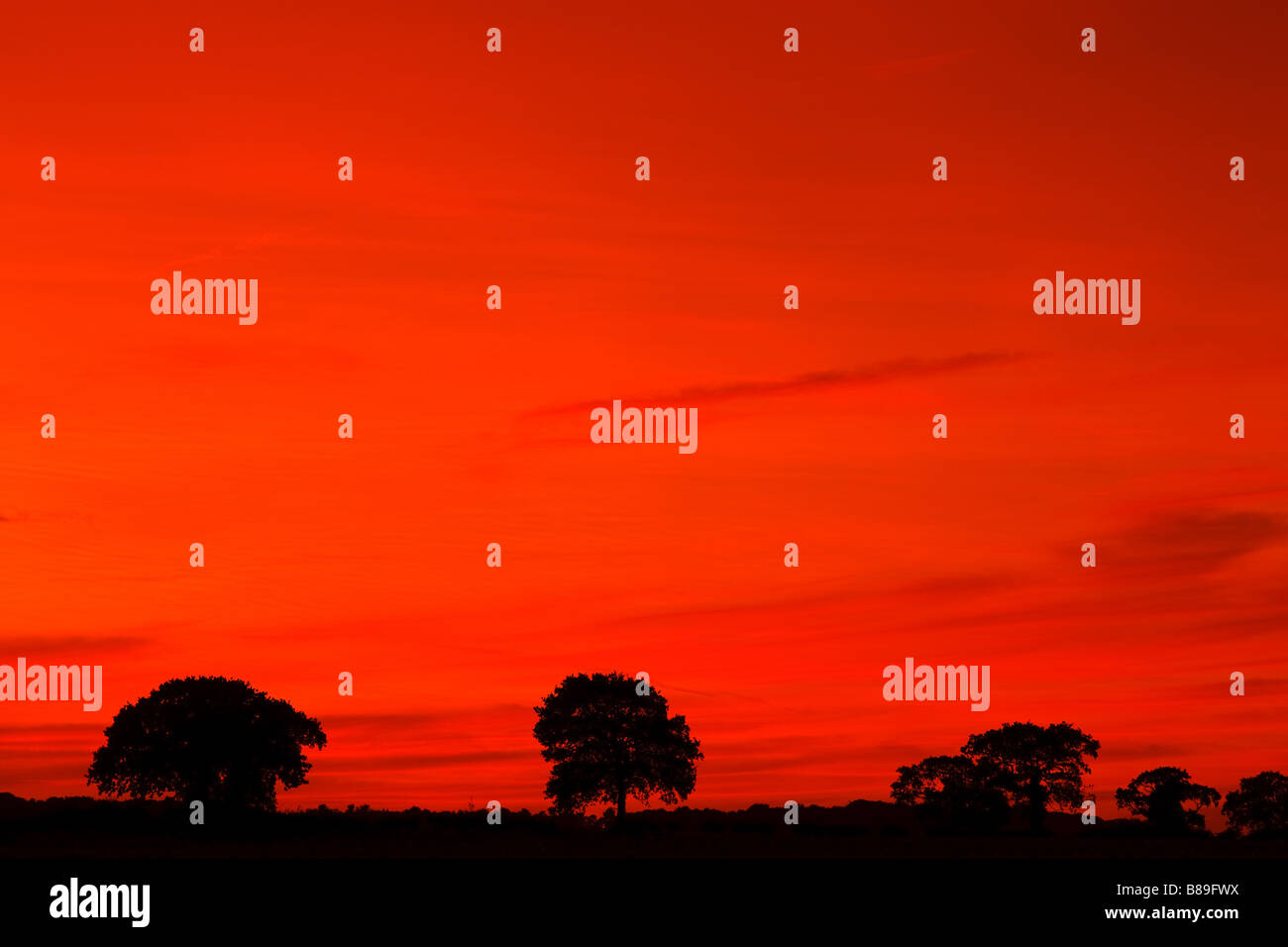 [Burning Sunset] over [Norfolk Farmland] Great Britain Stock Photo - Alamy
