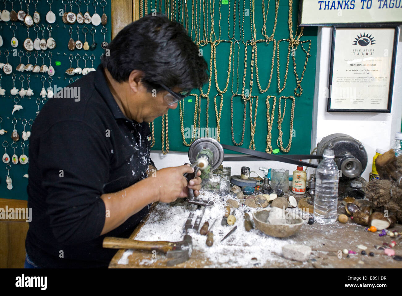 Artist work carving turning Tagua seed (Phytelephas Macrocarpa) Ivory ...