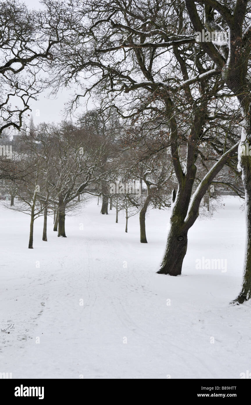 Winter scene uk snow trees path hi-res stock photography and images - Alamy