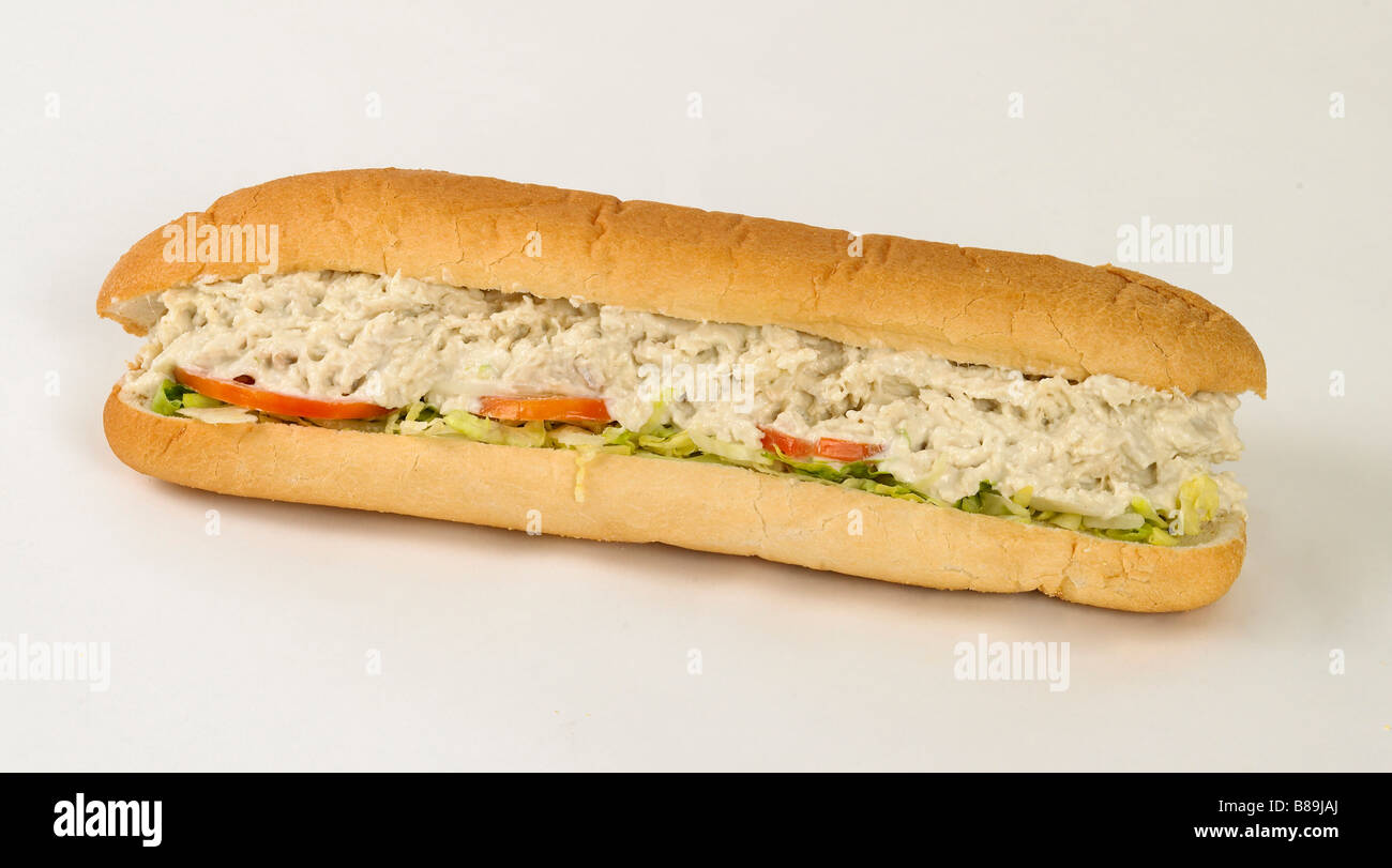 12" foot long deli chicken salad sub sandwich tomato lettuce Stock ...