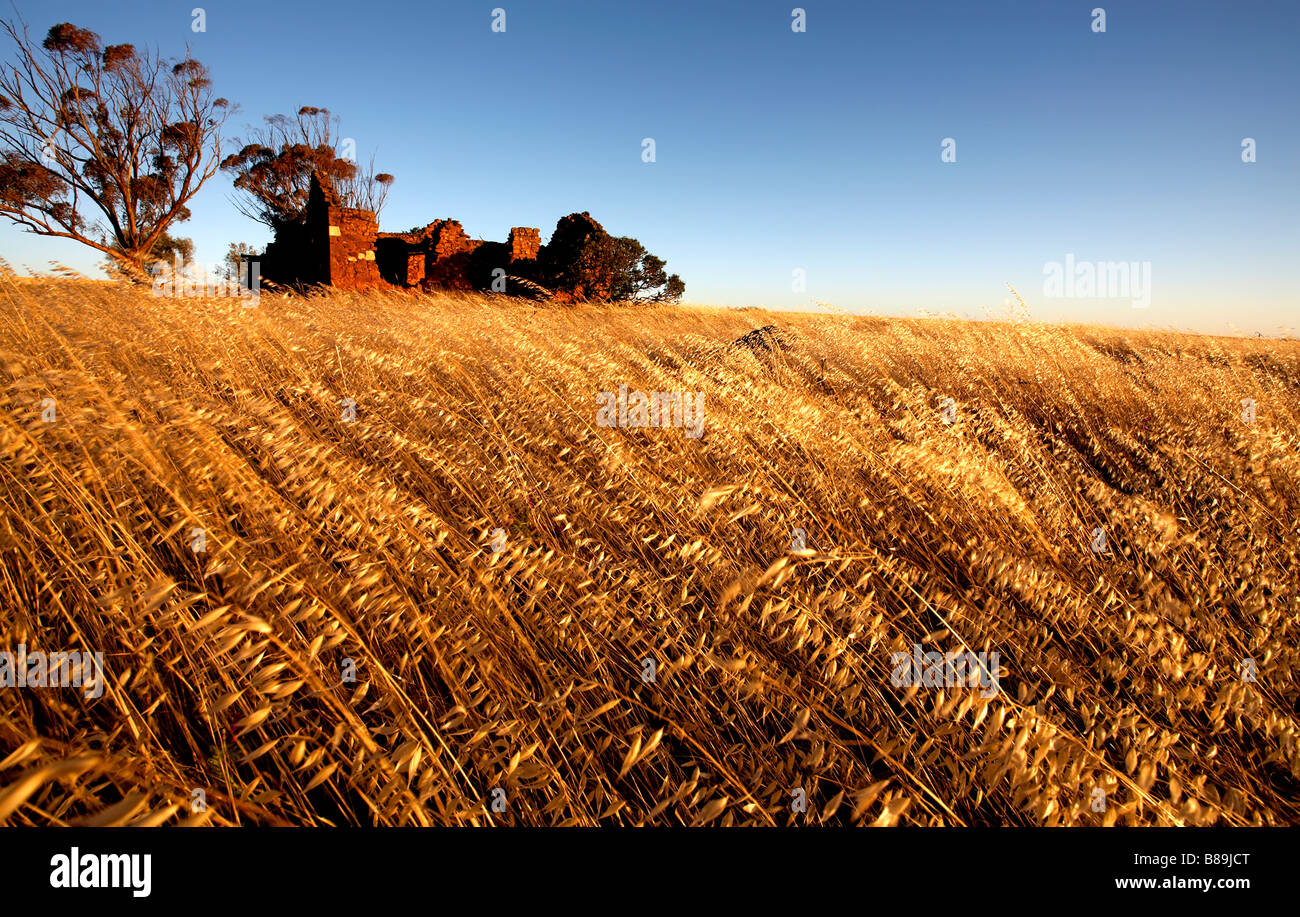 Old abandoned farm outback hi-res stock photography and images - Alamy