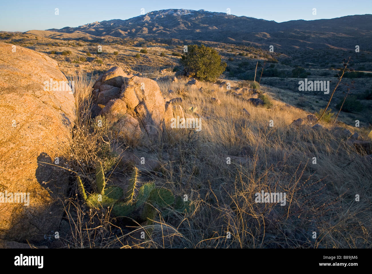 Rincon Mountains Reddington Pass Tucson Arizona Stock Photo - Alamy