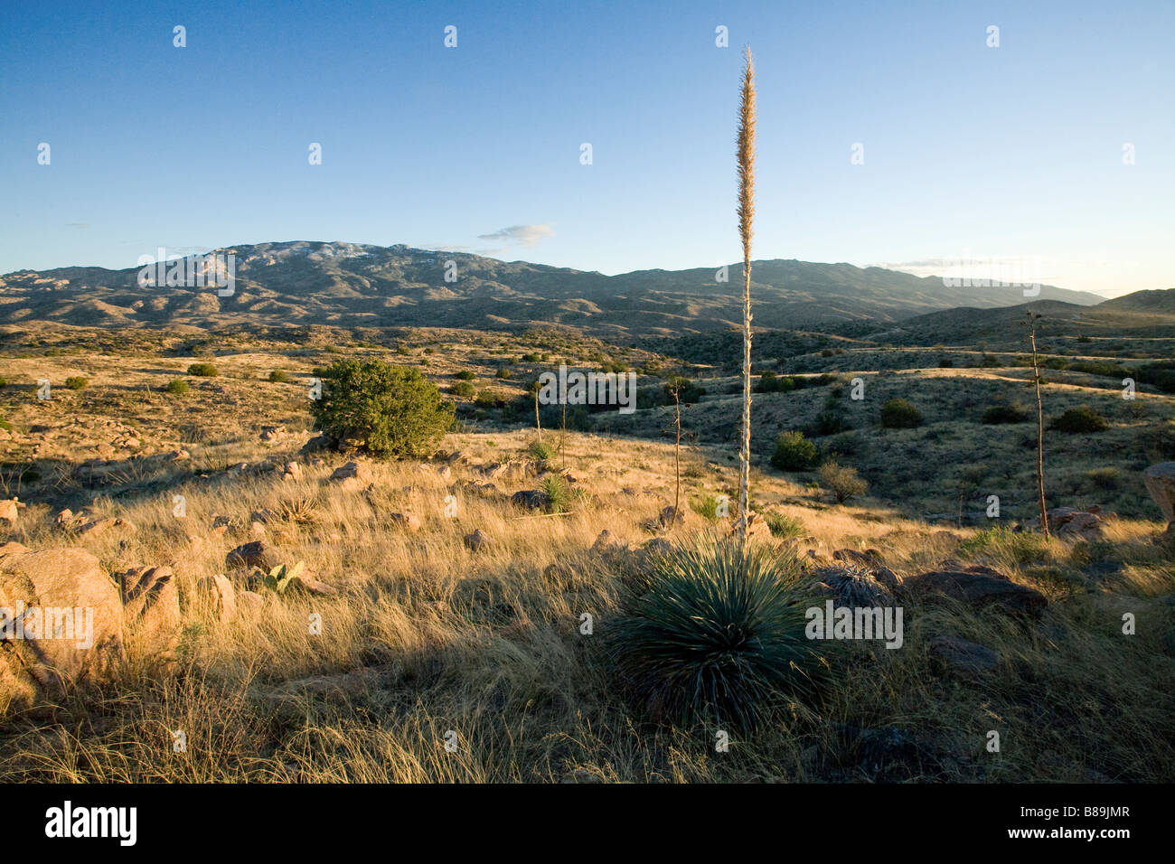 Rincon Mountains Reddington Pass Tucson Arizona Stock Photo - Alamy