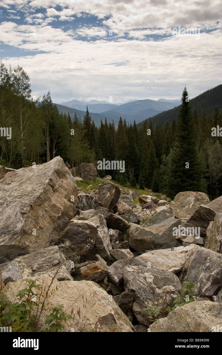 boulder field in never summer wilderness colorado Stock Photo - Alamy