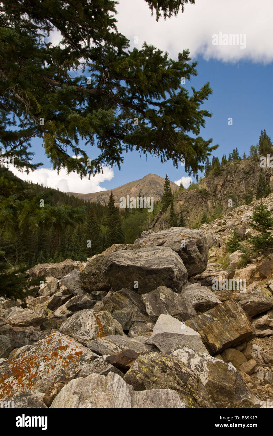 boulder field in never summer wilderness colorado Stock Photo - Alamy