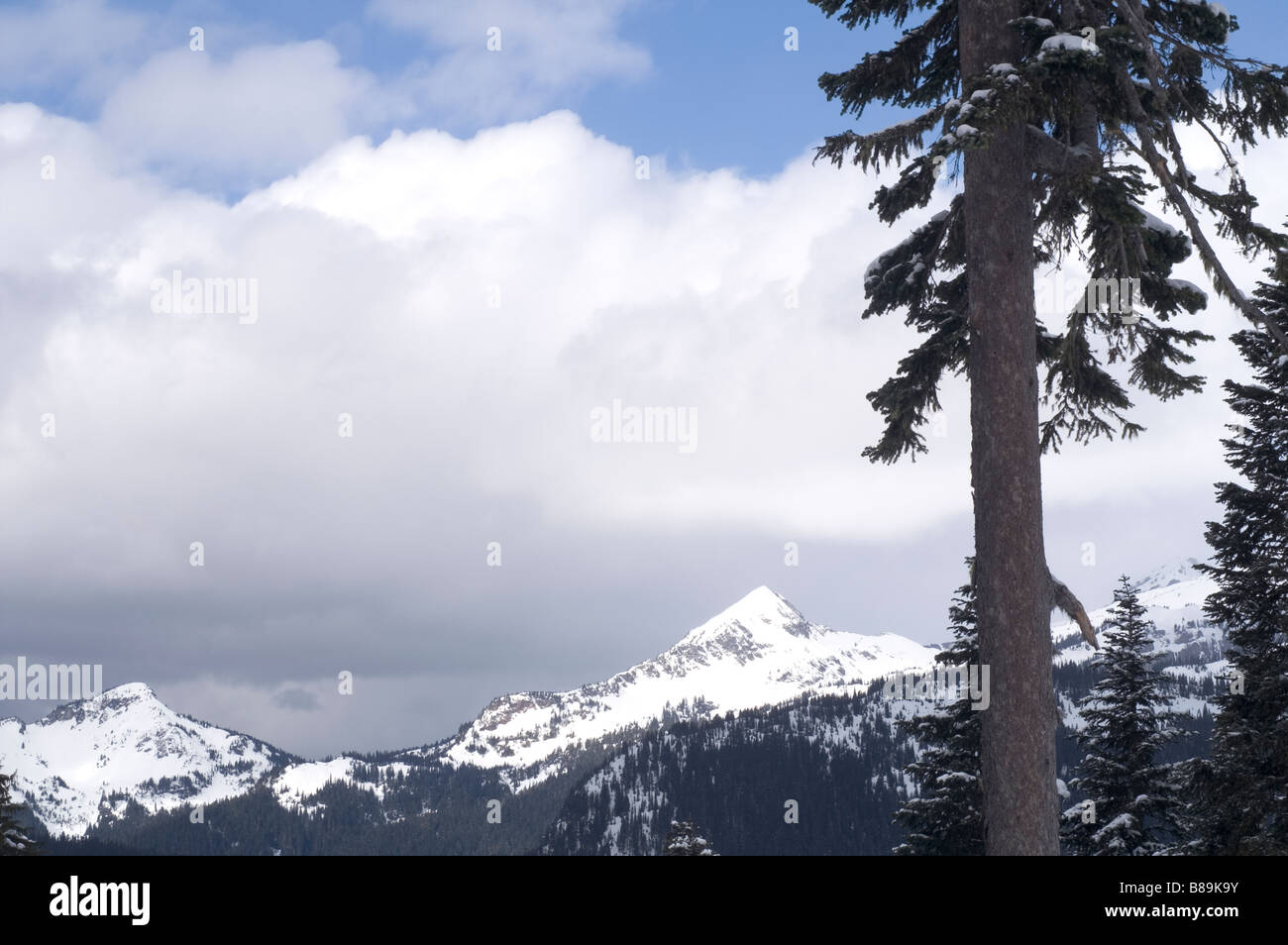 Wilderness Mt. Rainier National Park with part of the Tatoosh Range ...