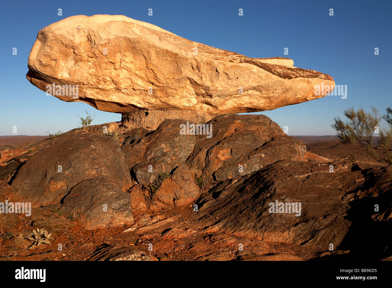 Living Desert Sculptures Stock Photo - Alamy