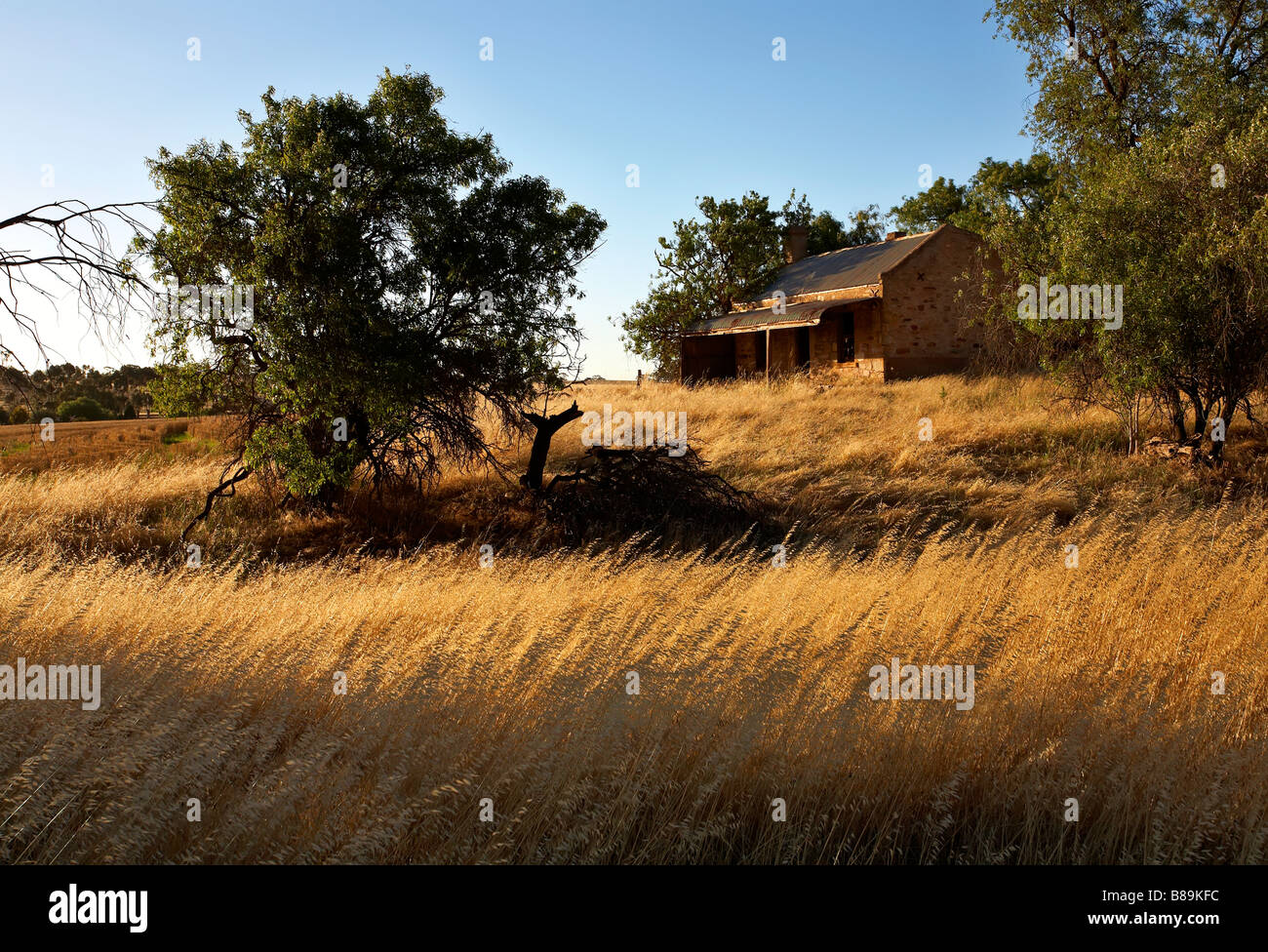 Australian homestead farmhouse hi-res stock photography and images - Alamy