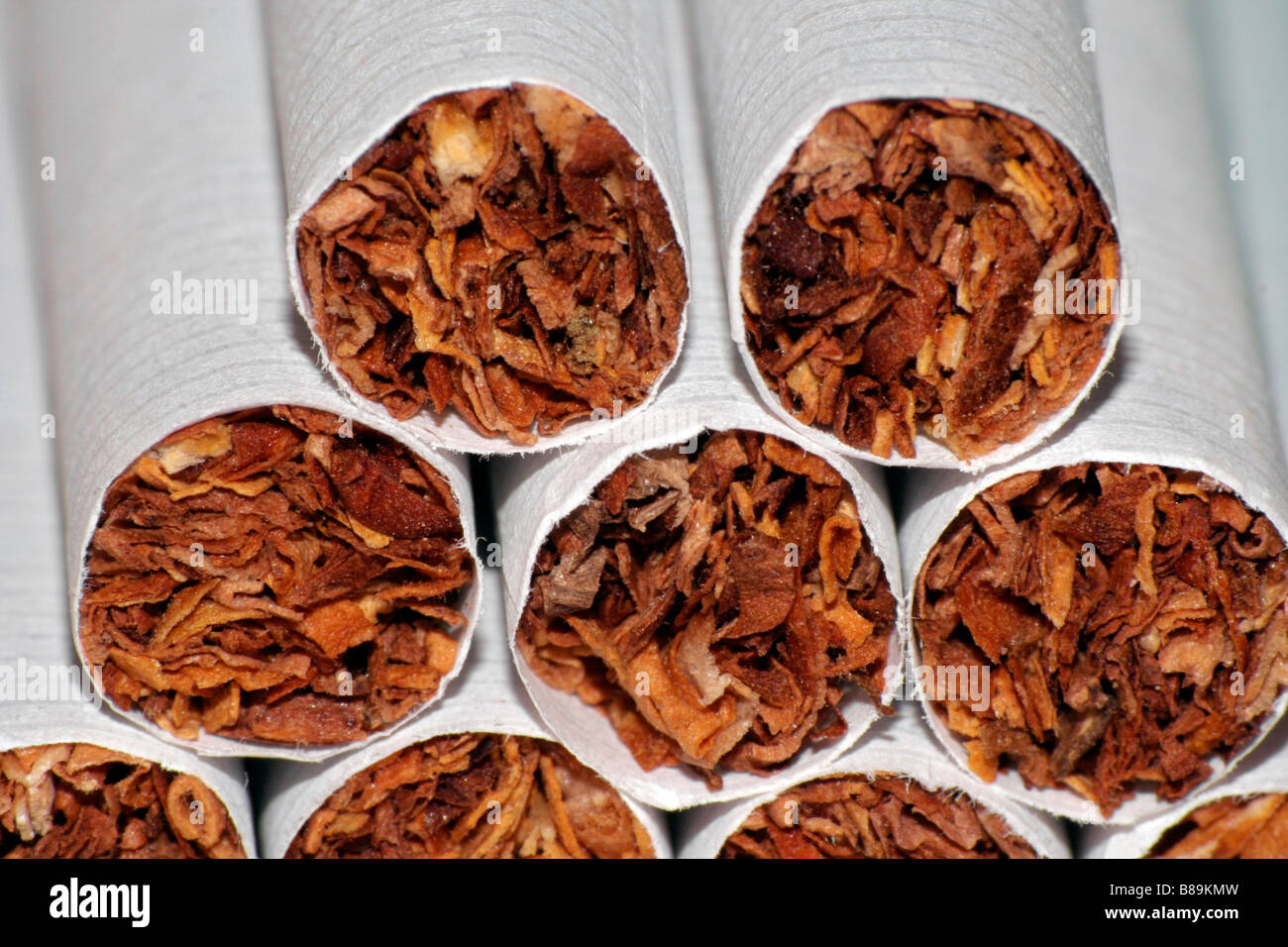 a couple of cigarettes, front view, macro Stock Photo - Alamy