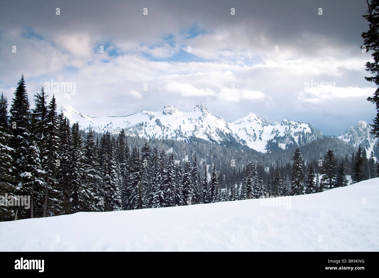 Wilderness Mt. Rainier National Park with part of the Tatoosh Range ...