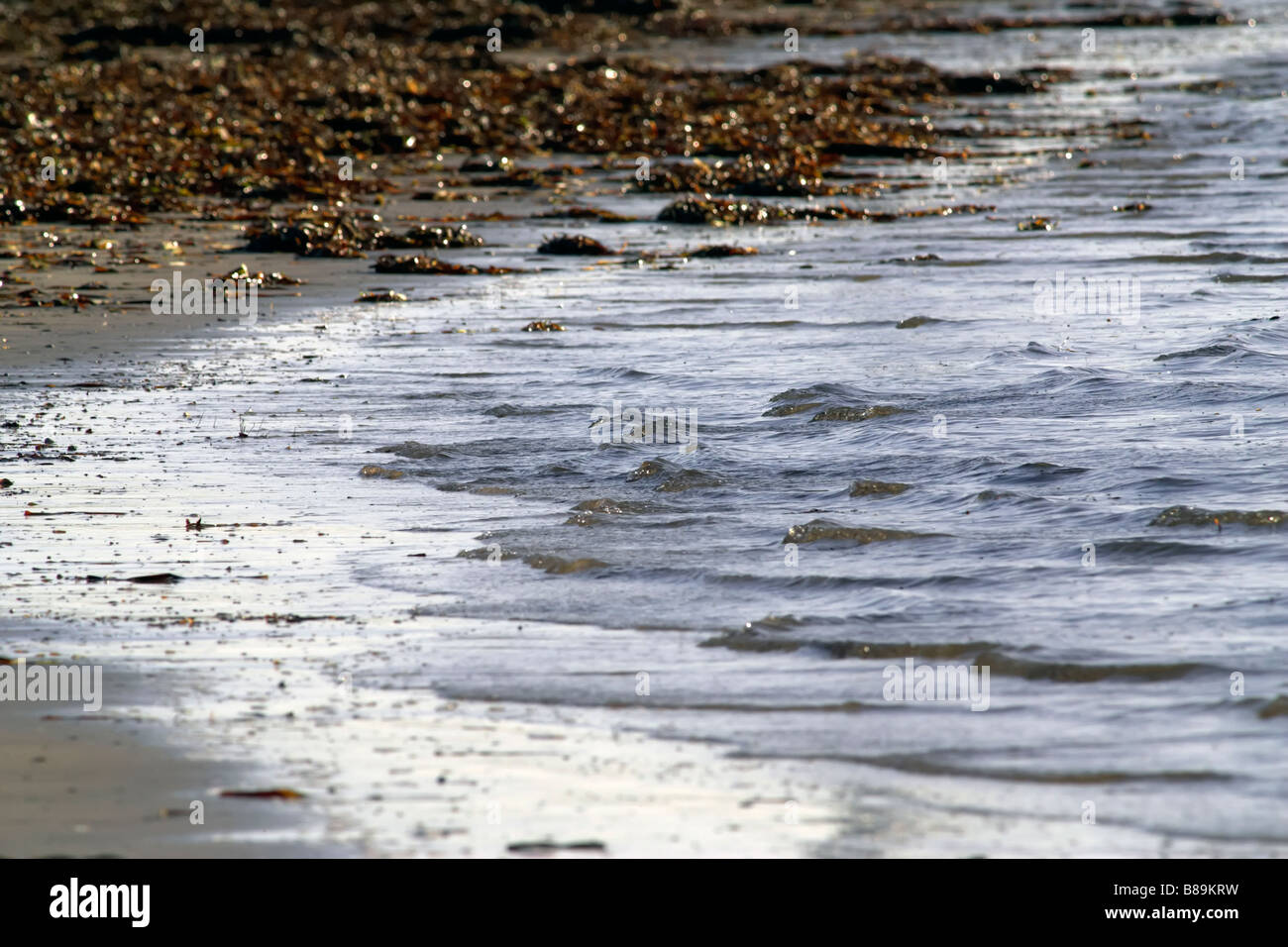 Wavelets of water hi-res stock photography and images - Alamy