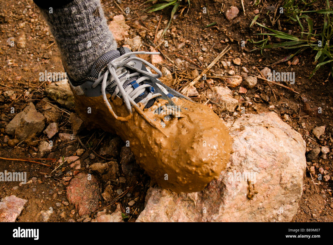 Muddy shoe from trail running in Horsetooth Mountain Park Stock Photo ...