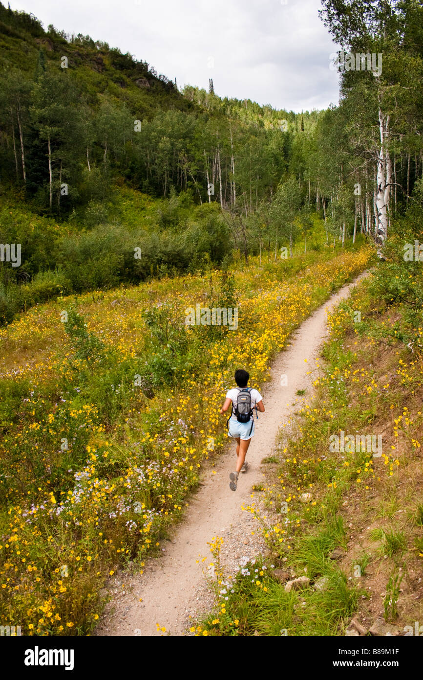Spring creek trail, steamboat hi-res stock photography and images - Alamy