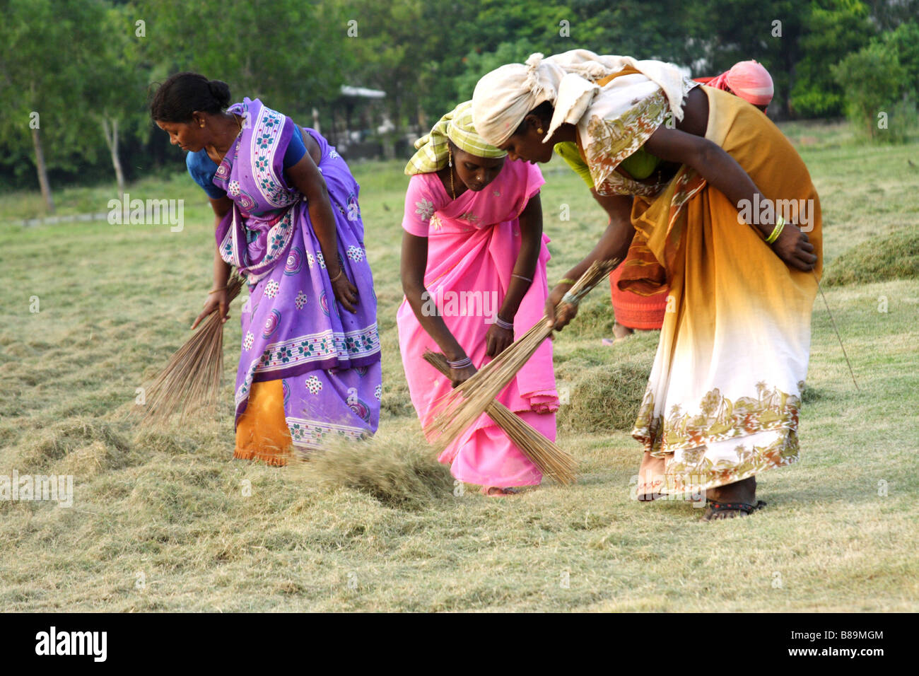 Tamilnadu Village High Resolution Stock Photography and Images - Alamy