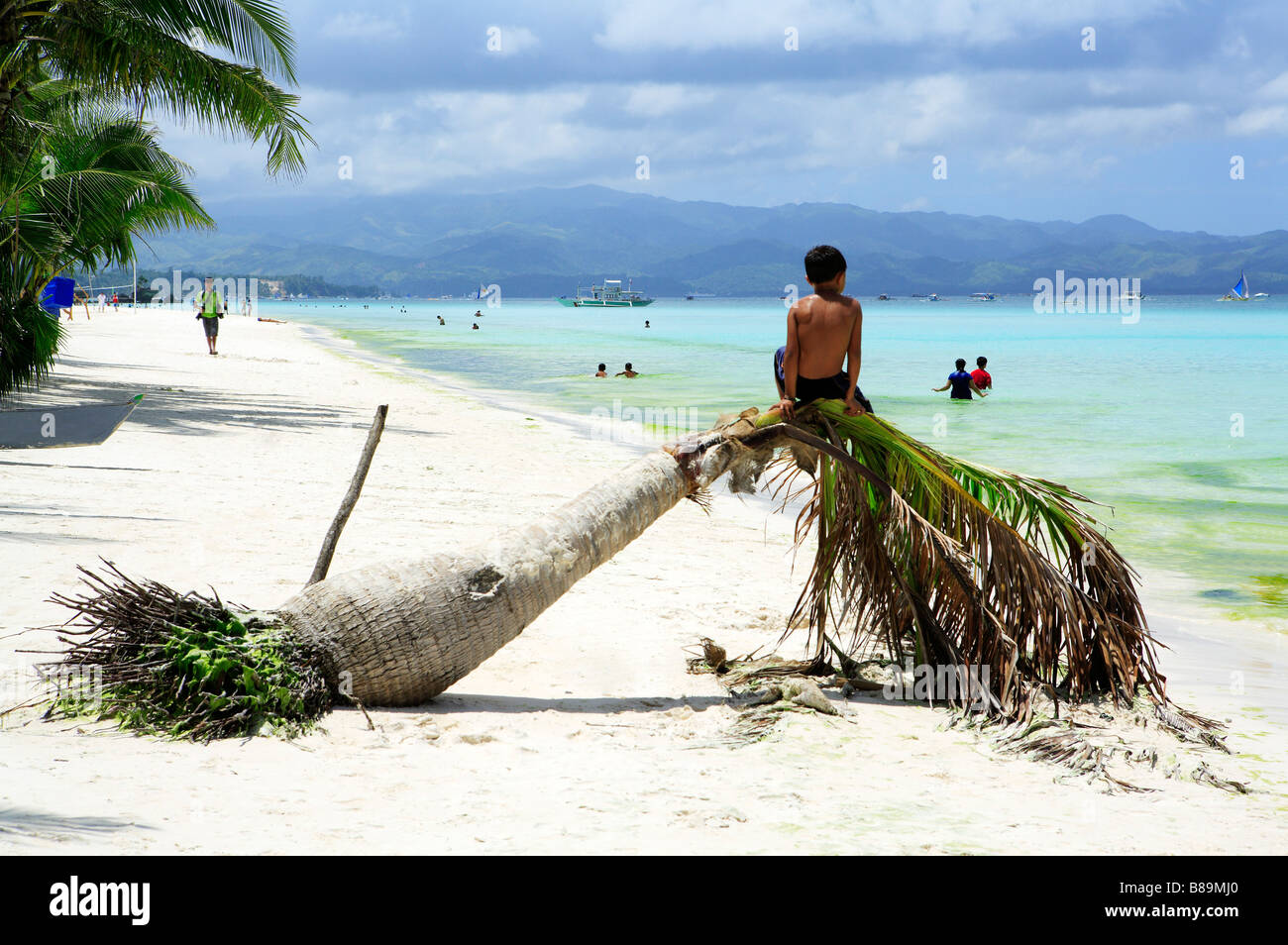 Boy on palm tree hi-res stock photography and images - Alamy