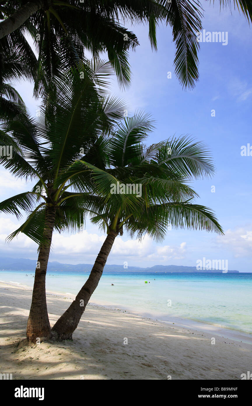 Boracay palm trees hi-res stock photography and images - Alamy