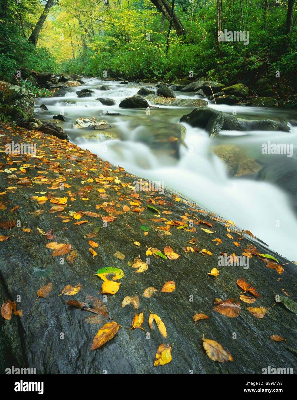 Alum cave bluff trail hi-res stock photography and images - Alamy